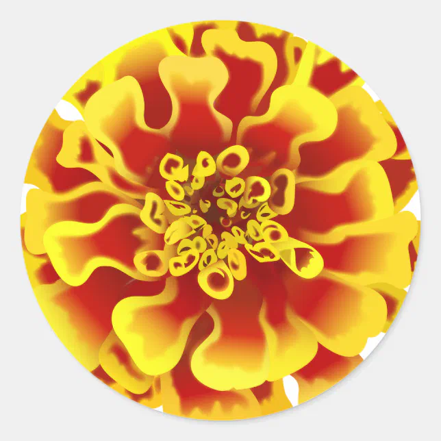 Marigold Flower Classic Round Sticker | Zazzle