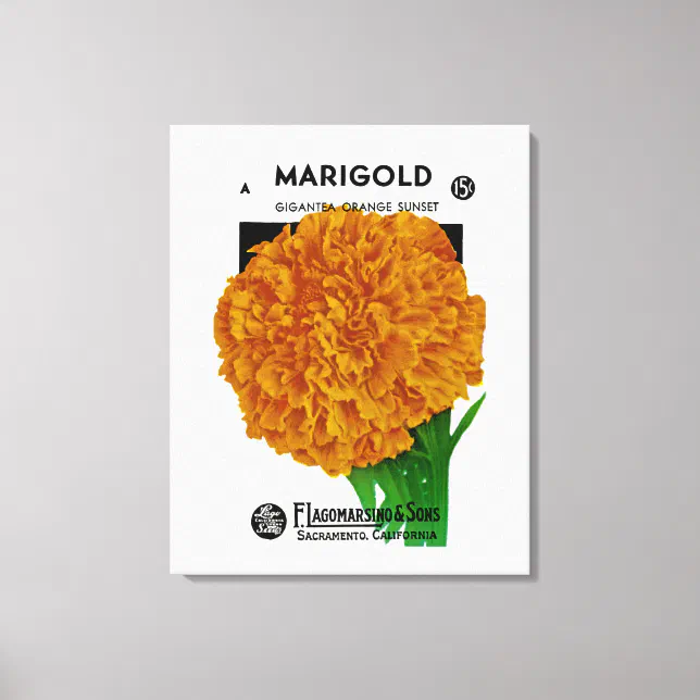 marigold seed packets