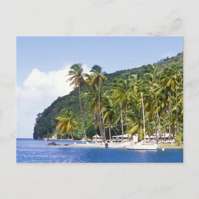 Marigot Bay, St. Lucia, Caribbean Postcard | Zazzle