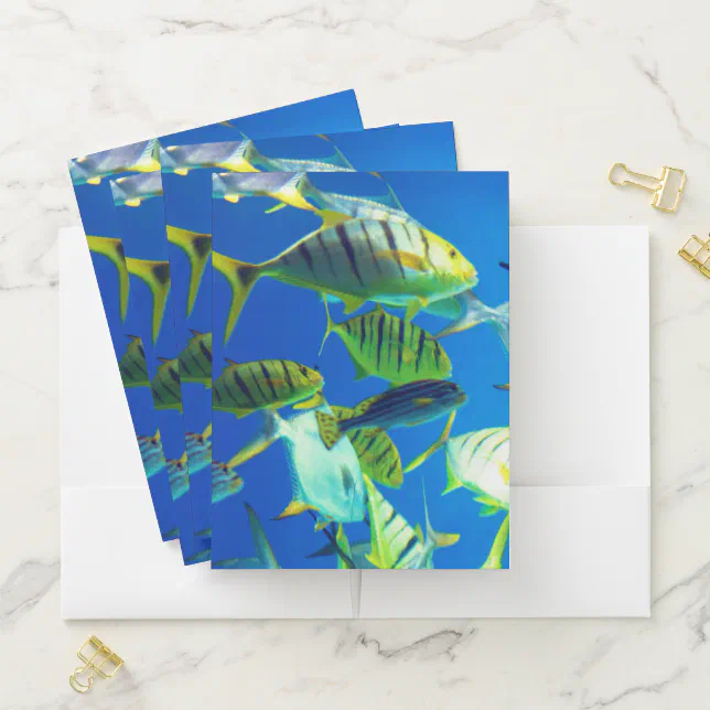 Marine Fish of Yellow with Black Stripes Pocket Folder | Zazzle