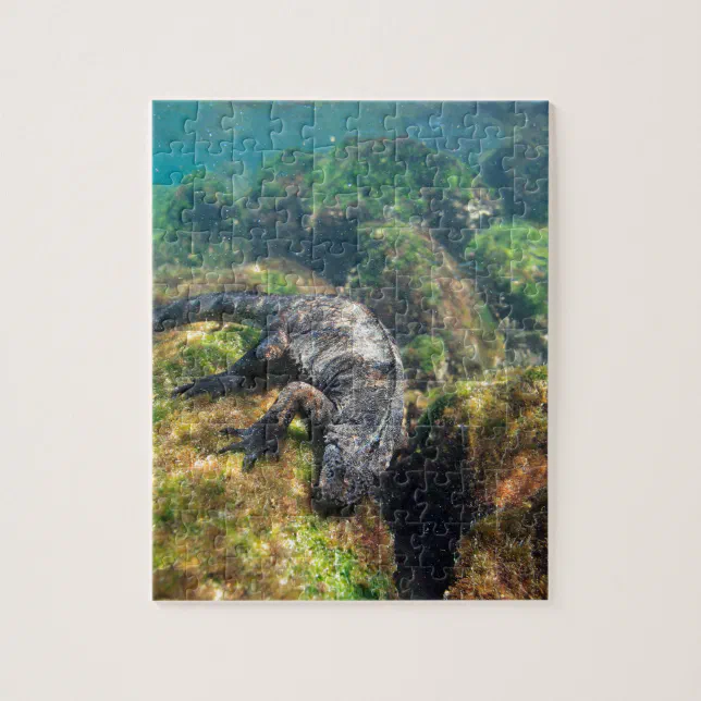 Marine iguana feeding underwater Galapagos Islands Jigsaw Puzzle | Zazzle