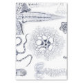 Marine Life / Marine Biology Strange Sea Creatures Tissue Paper | Zazzle
