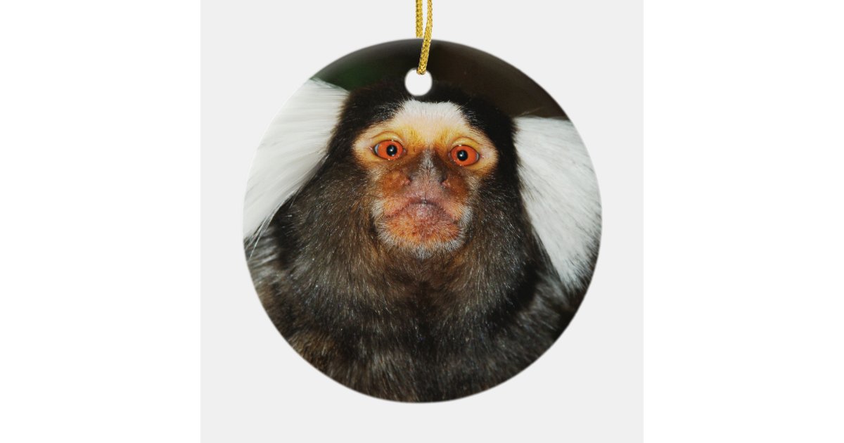 Marmoset hanging ornament | Zazzle