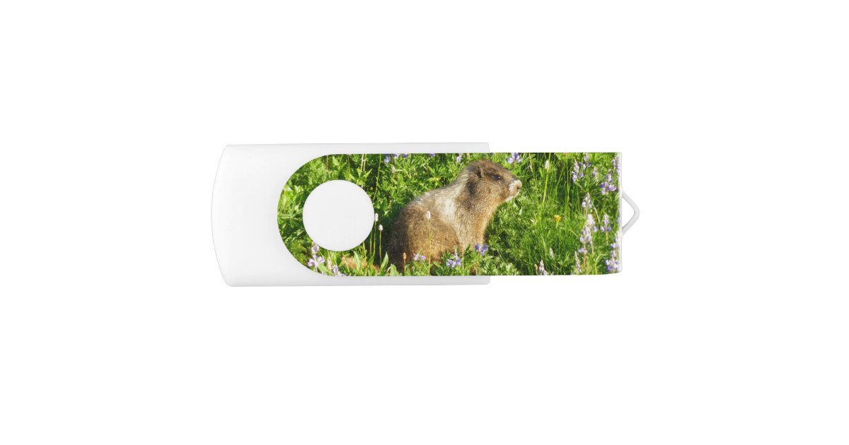 Marmot in Mount Rainier Wildflowers Flash Drive | Zazzle