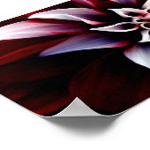 Maroon Poster | Zazzle