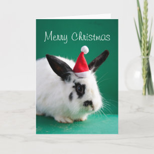 Rabbit Christmas Cards | Zazzle - 100% Satisfaction Guaranteed!