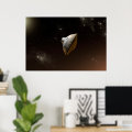 Mars Science Laboratory Aeroshell Capsule Poster | Zazzle