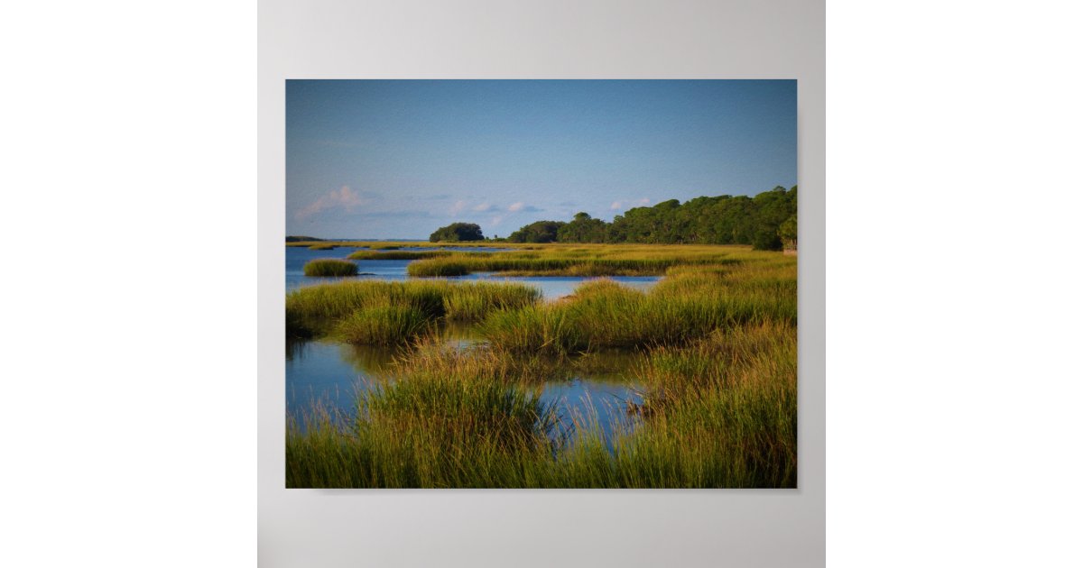 Marsh Poster | Zazzle