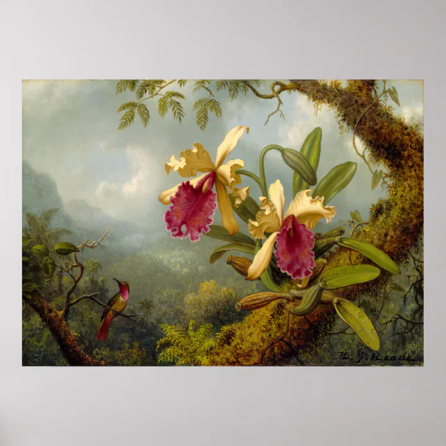 Martin Johnson Heade - Orchids and hummingbird Poster | Zazzle