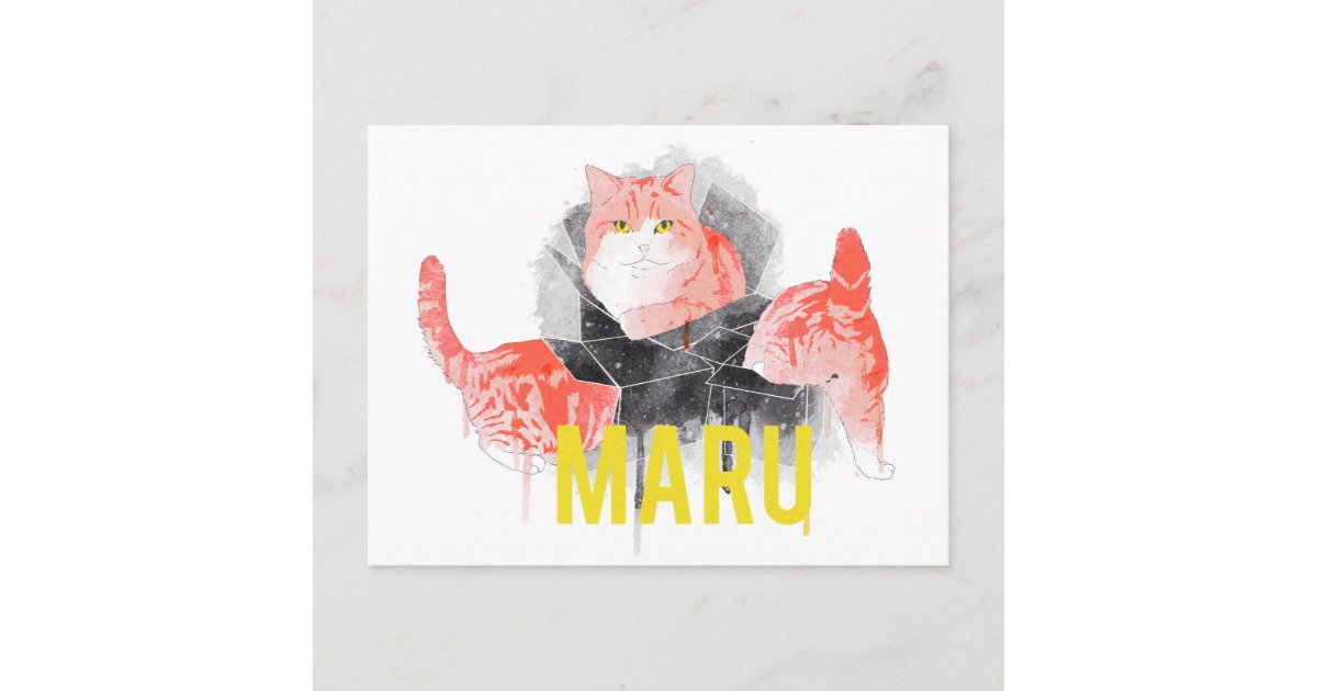 MARU POSTCARD | Zazzle