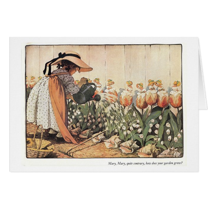 Mary, Mary, Quite Contrary Nursery Rhyme Card | Zazzle.com