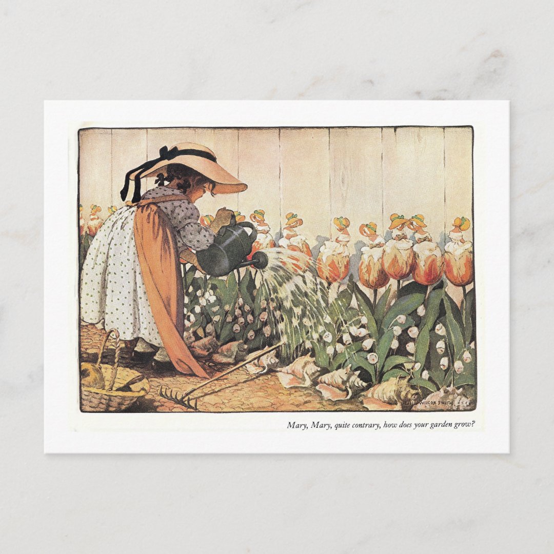 Mary, Mary, Quite Contrary Nursery Rhyme Postcard | Zazzle