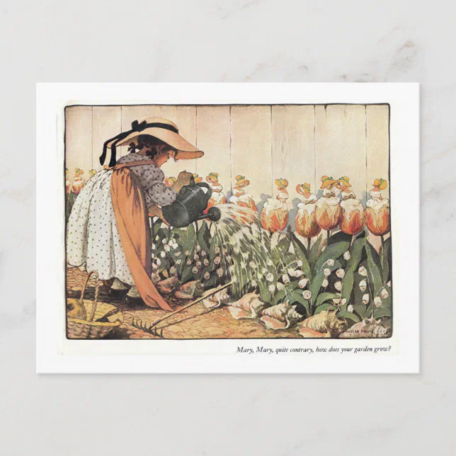 Mary, Mary, Quite Contrary Nursery Rhyme Postcard | Zazzle
