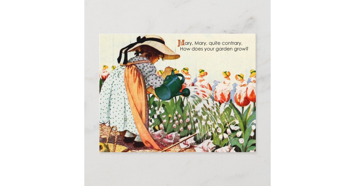 Mary, Mary, Quite Contrary Postcard | Zazzle