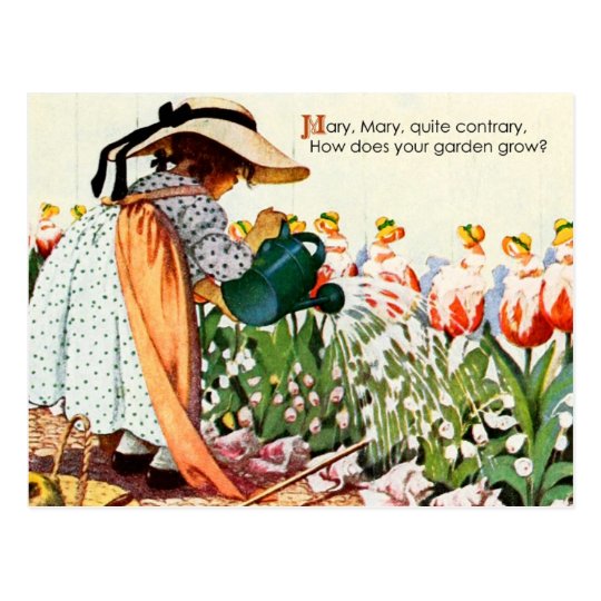Mary, Mary, Quite Contrary Postcard | Zazzle.com