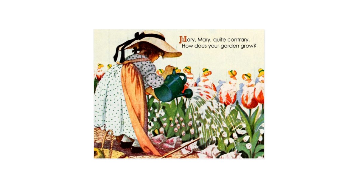 Mary, Mary, Quite Contrary Postcard | Zazzle.com