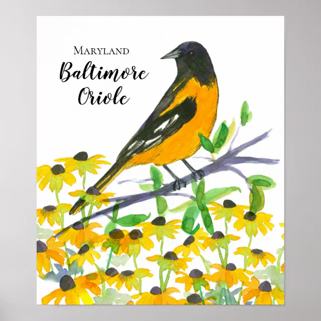 Maryland Baltimore Oriole Black Eyed Susans Poster | Zazzle