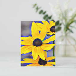 Maryland Black Eyed Susan Postcard | Zazzle