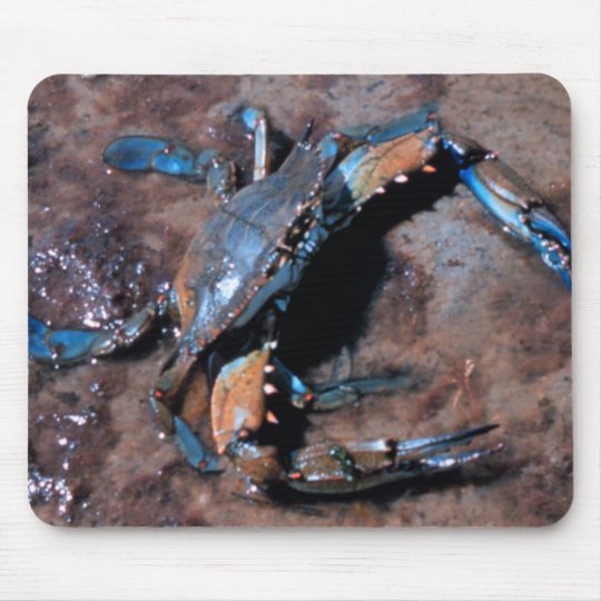 Maryland Blue Crab Mouse Pad | Zazzle.com