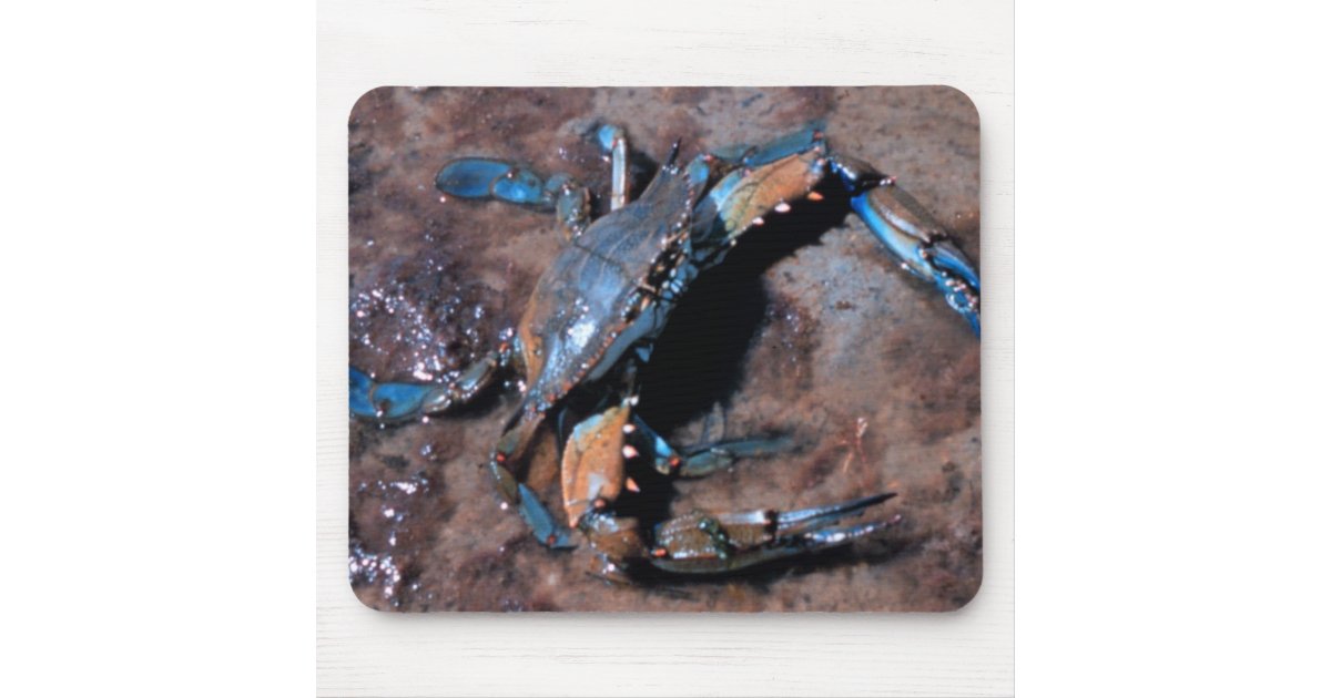 Maryland Blue Crab Mouse Pad | Zazzle