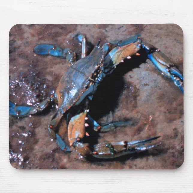 Maryland Blue Crab Mouse Pad | Zazzle