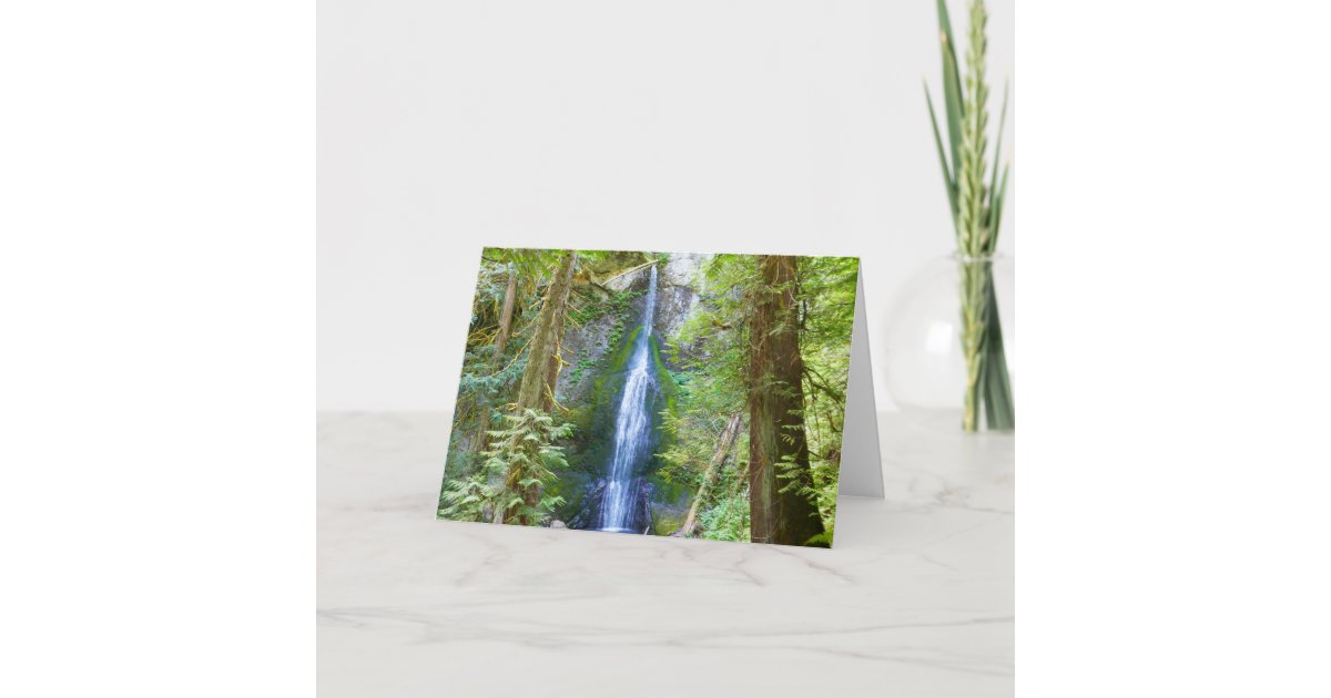 Marymere Falls I at Olympic National Park Card | Zazzle