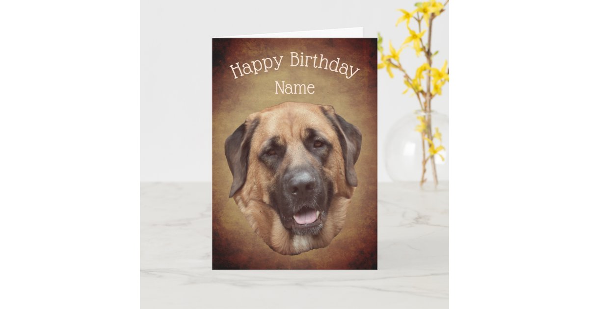 Mastiff Dog Personalized Birthday Card | Zazzle