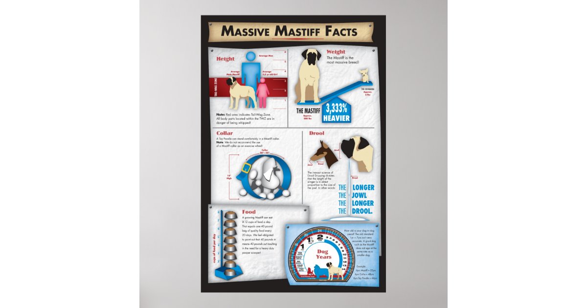 Mastiff Facts Poster | Zazzle