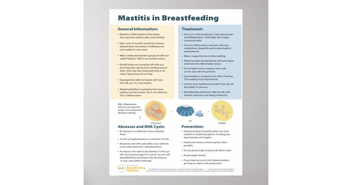 Mastitis in Breastfeeding Poster (English) | Zazzle