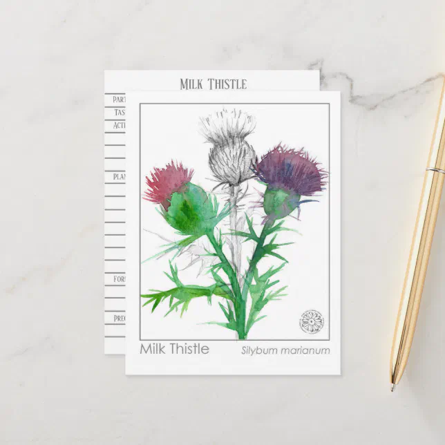 Materia Medica Milk Thistle Herbal Study Card | Zazzle
