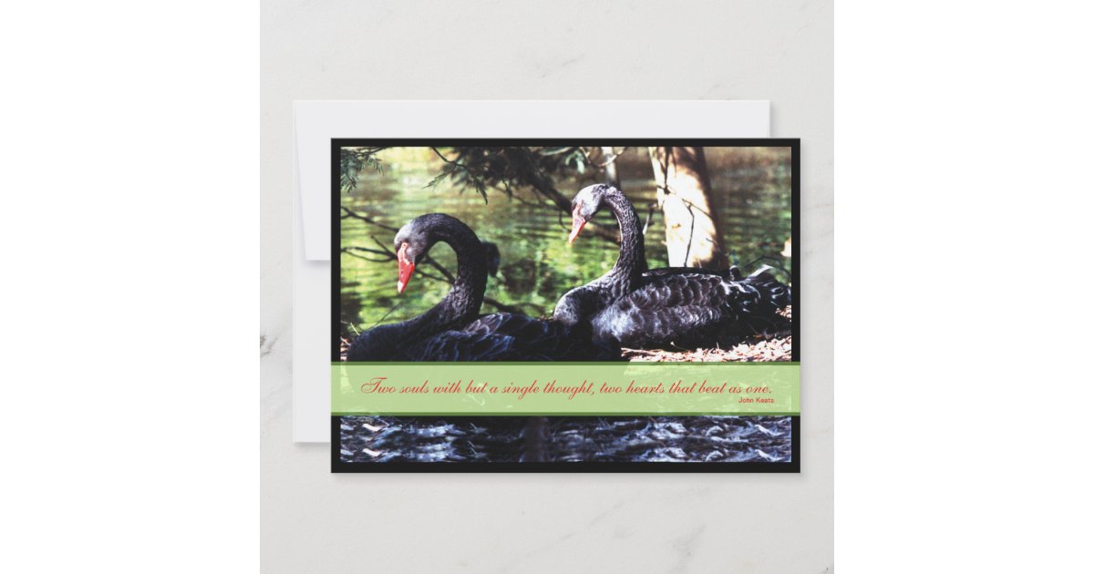 Mates for Life Black Swans Wedding Invitation | Zazzle