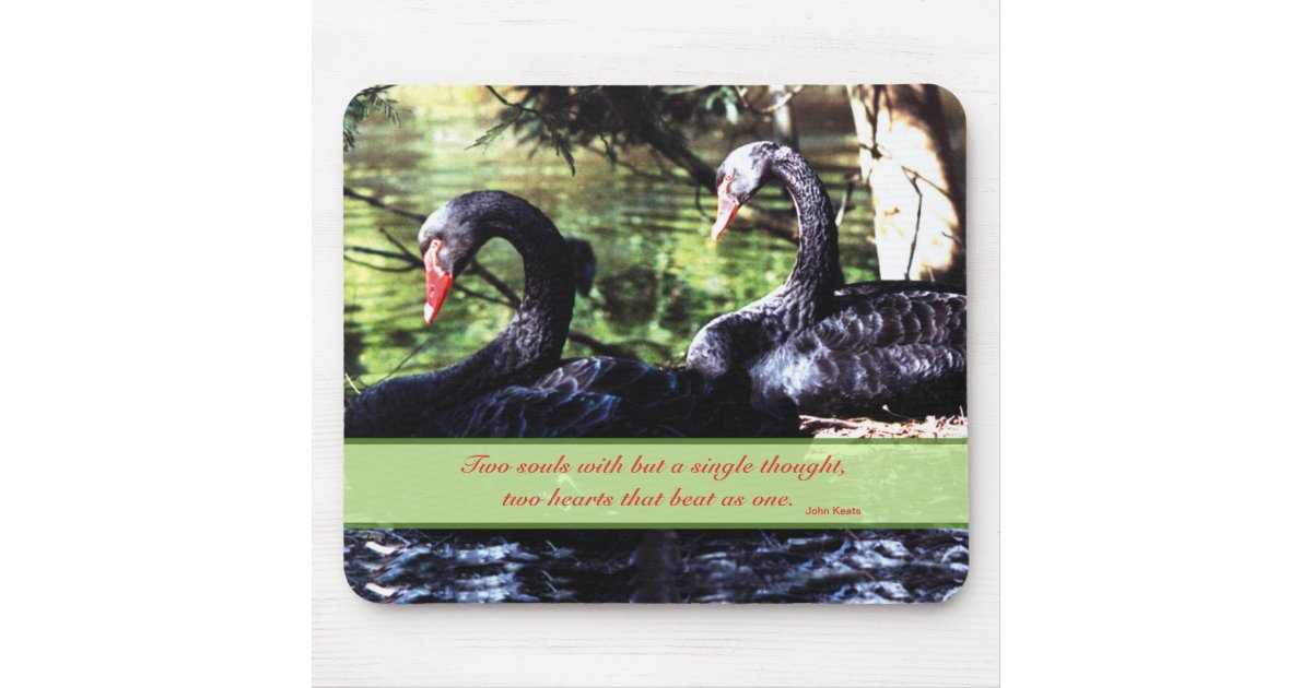 Mates for Life Black Swans with Love Quote Mouse Pad | Zazzle