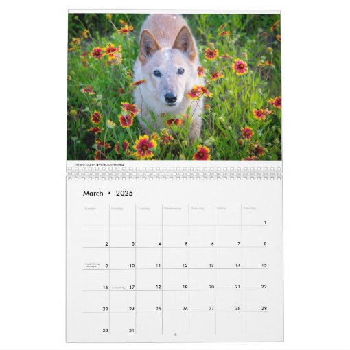 Matilda and the Flowers 2019 Calendar | Zazzle