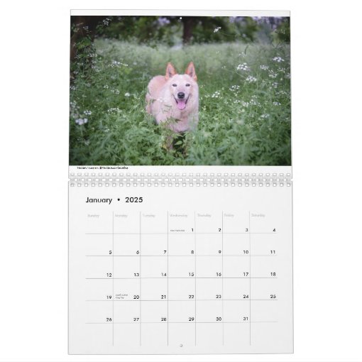 Matilda and the Flowers 2019 Calendar | Zazzle