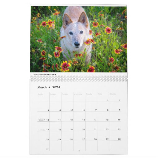 Matilda and the Flowers 2019 Calendar | Zazzle
