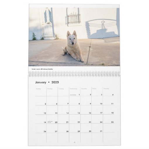 Matilda and the World 2019 Calendar | Zazzle