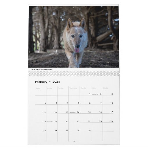 Matilda and the World 2019 Calendar | Zazzle
