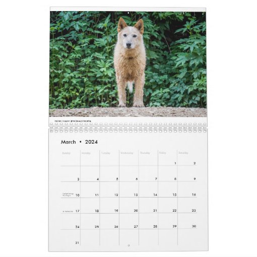 Matilda and the World 2019 Calendar | Zazzle