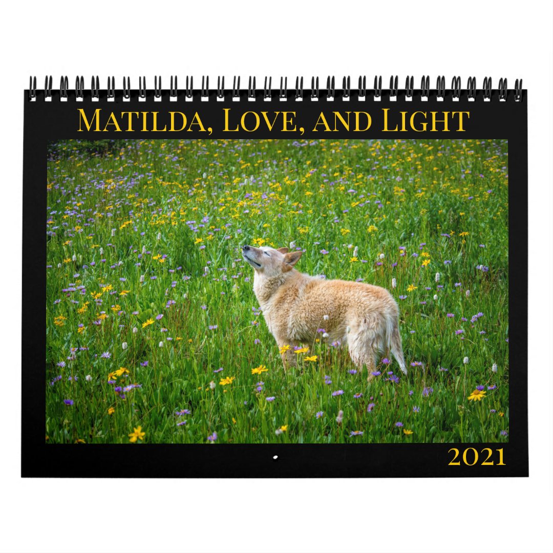 Matilda, Love, and Light 2021 Calendar | Zazzle