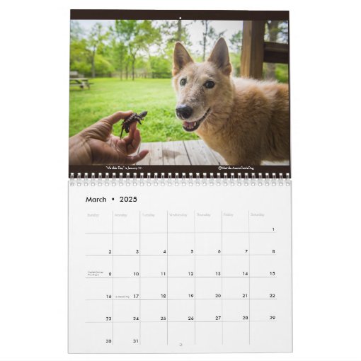 Matilda's 2024 Calendar | Zazzle