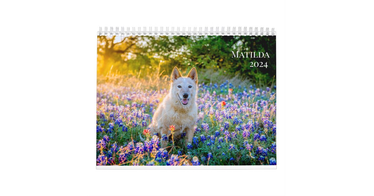 Matilda's 2024 Calendar | Zazzle