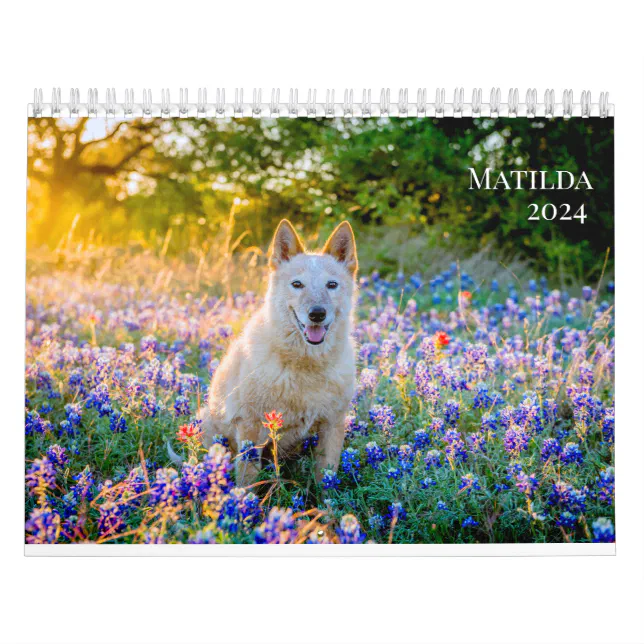 Matilda's 2024 Calendar | Zazzle