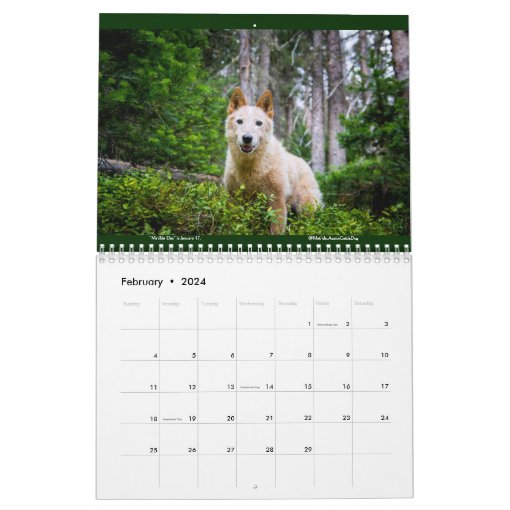 Matilda's 2024 Calendar | Zazzle