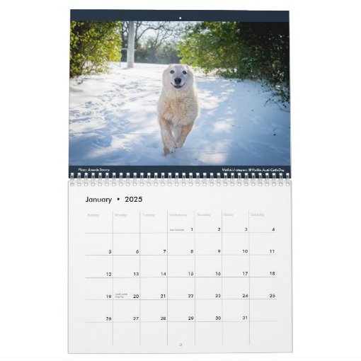 Matilda's Love 2022 Calendar | Zazzle