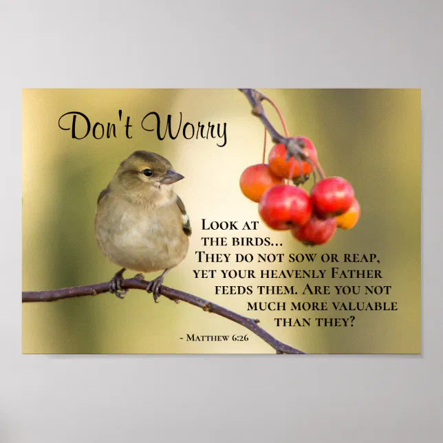 Matthew 6:26 Bible Verse, Don't Worry Poster | Zazzle