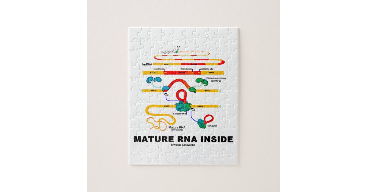 Mature RNA Inside Biology Humor Jigsaw Puzzle | Zazzle