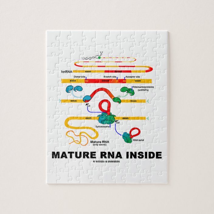 Mature RNA Inside Biology Humor Jigsaw Puzzle | Zazzle.com