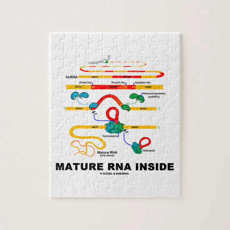 Mature RNA Inside Biology Humor Jigsaw Puzzle | Zazzle