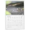 Maui Calendar!! Calendar | Zazzle