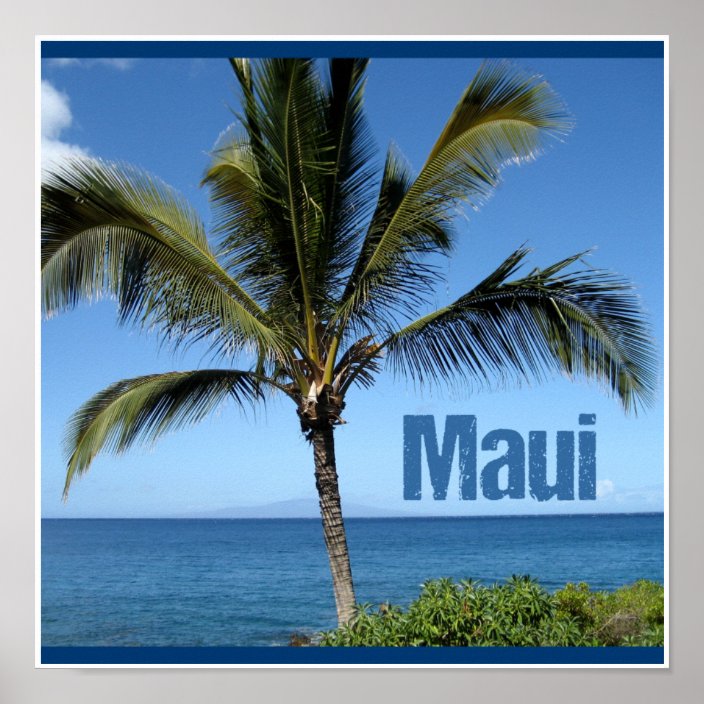 Maui Hawaii Poster | Zazzle.com